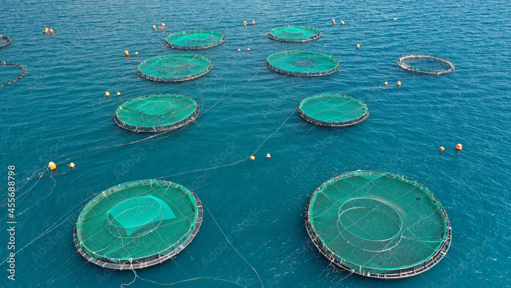 Aerial drone photo of latest technology auto feeding fish farming ...