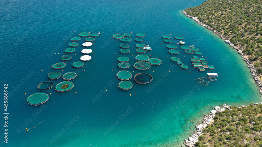 Aerial drone photo of large fish farming - breeding unit of sea bass ...