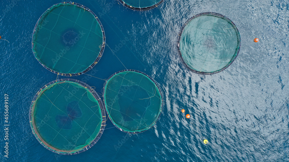 Aerial drone photo of large fish farming - breeding unit of sea bass ...