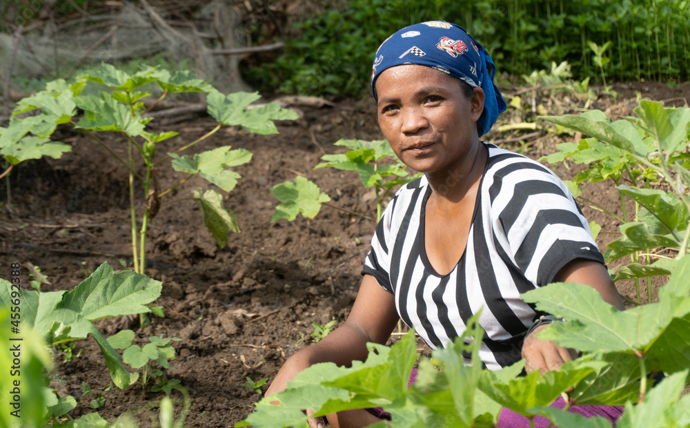 Traditional Mangyan indigenous woman in the Bignayan village garden ...