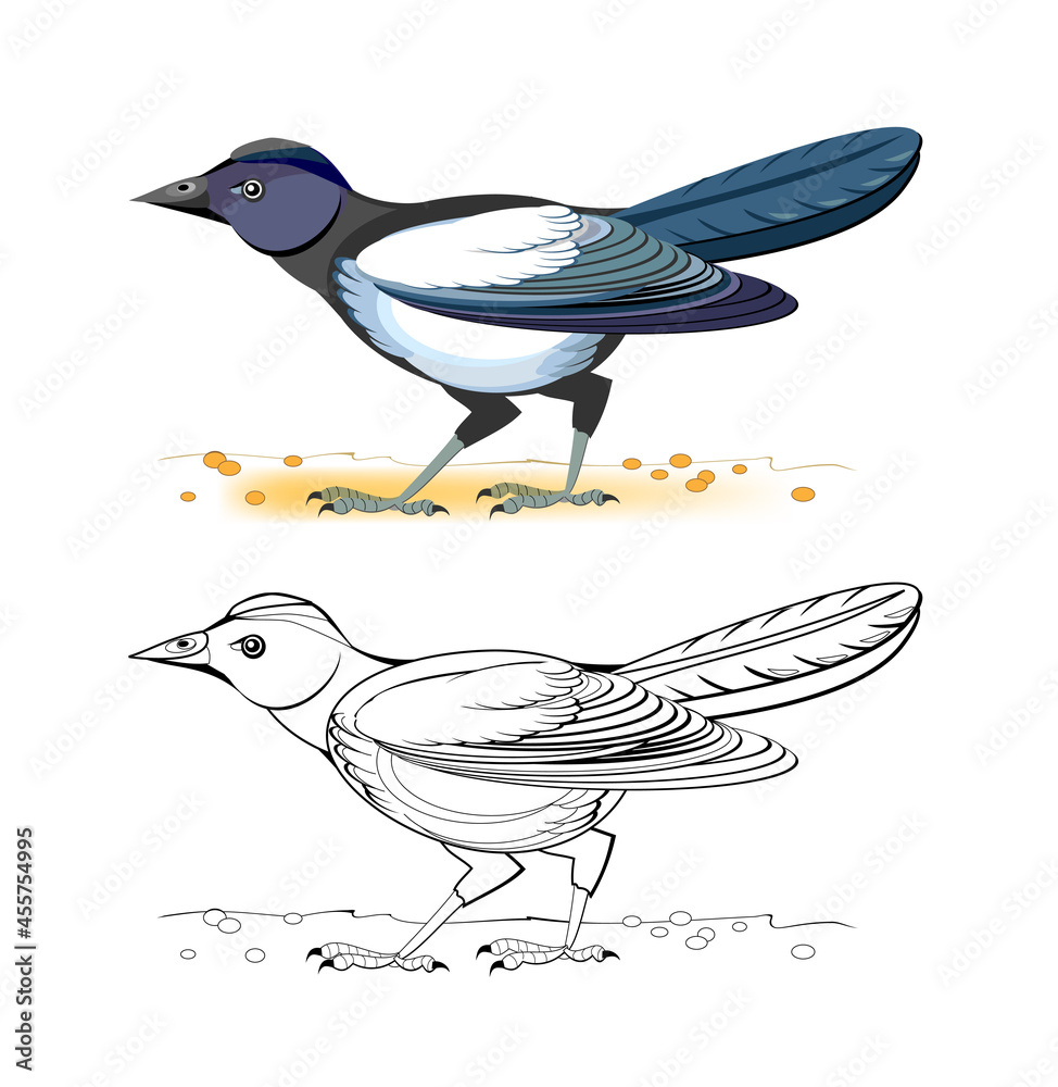 Colorful and black and white page for coloring book. Illustration of ...