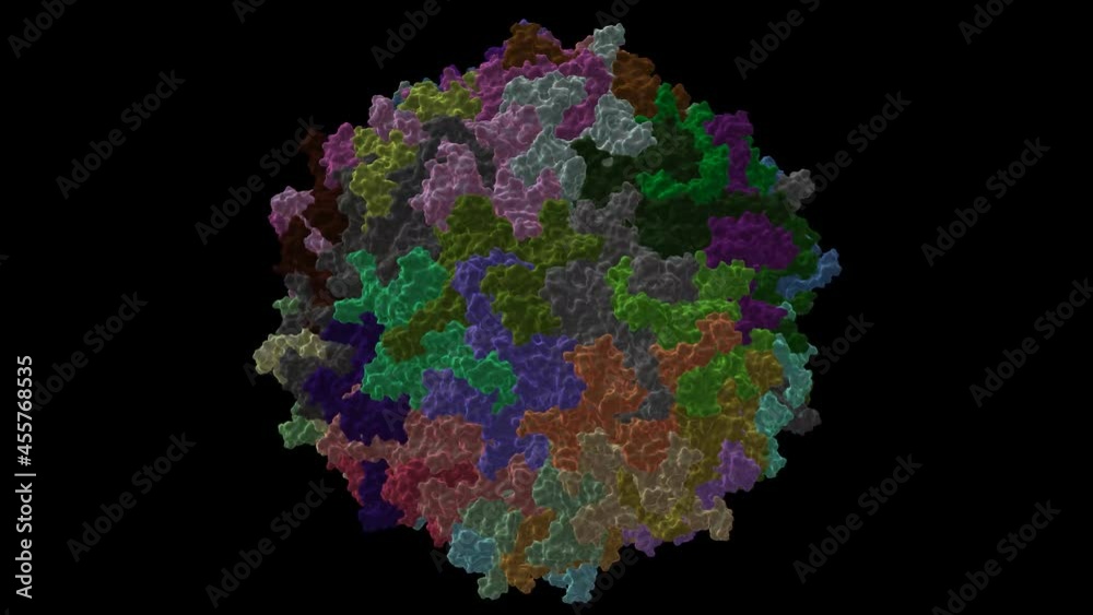Structure of human bocavirus 4, animated 3D cartoon and Gaussian ...
