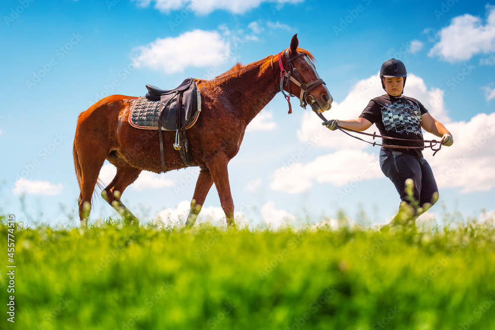 Young Boy riding a horse in the field Stock Photo | Adobe Stock