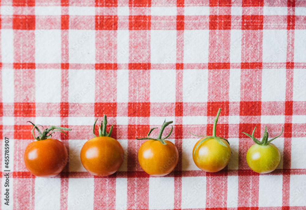 A rainbow of tomato colors Stock Photo | Adobe Stock