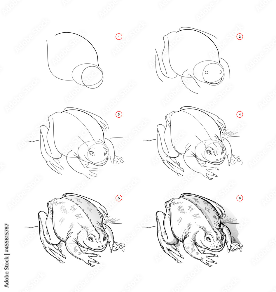 Page shows how to learn to draw sketch of toad. Creation step by step ...