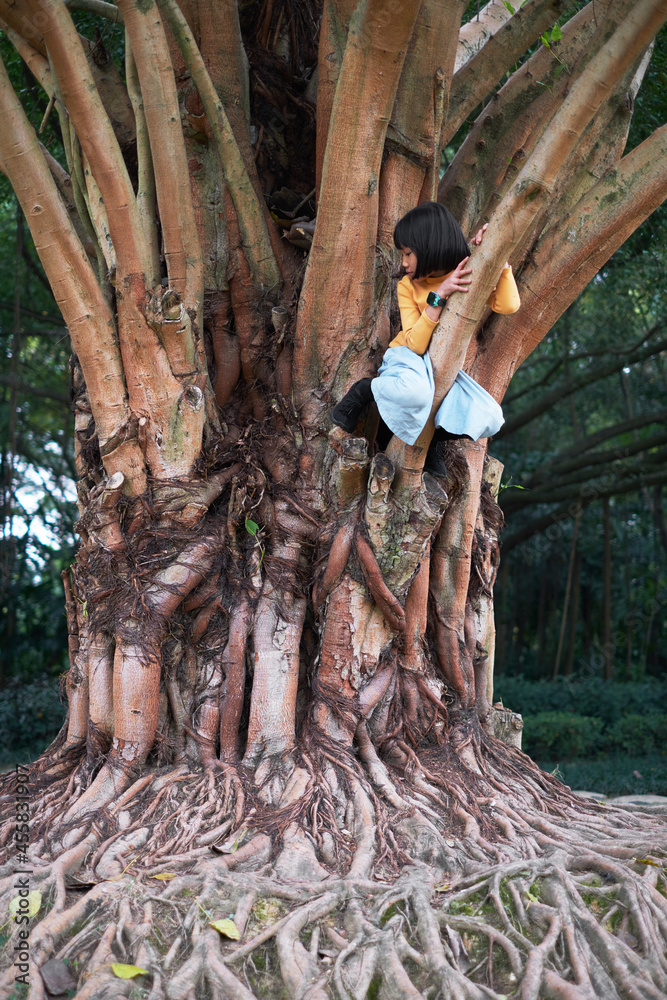 Asian girl sitting on branch of old banyan tree Stock Photo | Adobe Stock