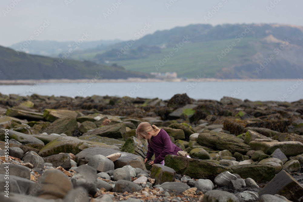 Fossil Hunting on the Jurassic Coast. Stock Photo | Adobe Stock