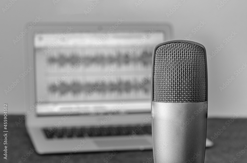 Professional microphone and wave form on the screen Stock Photo | Adobe ...