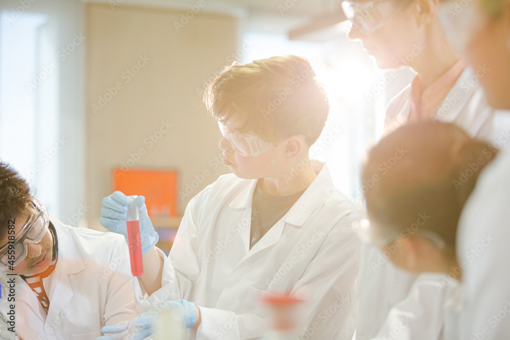 Female teacher and students examining liquid in test tube, conducting ...