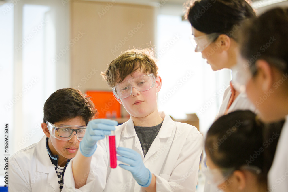 Female teacher and students examining liquid in test tube, conducting ...