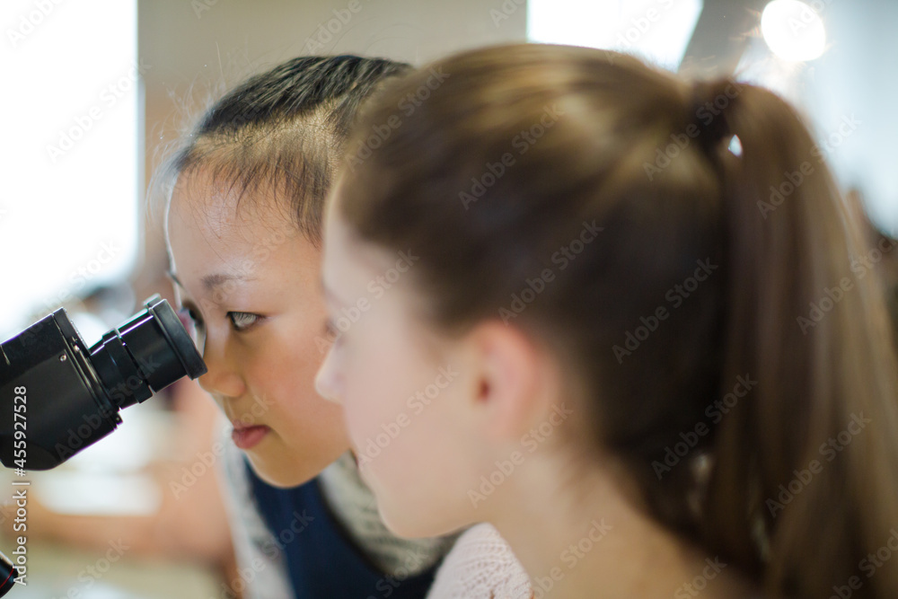 Girl students using microscope, conducting scientific experiment in ...