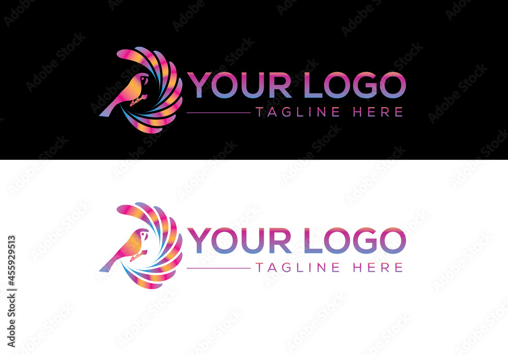 Splash Logo Design vector image Stock Vector | Adobe Stock