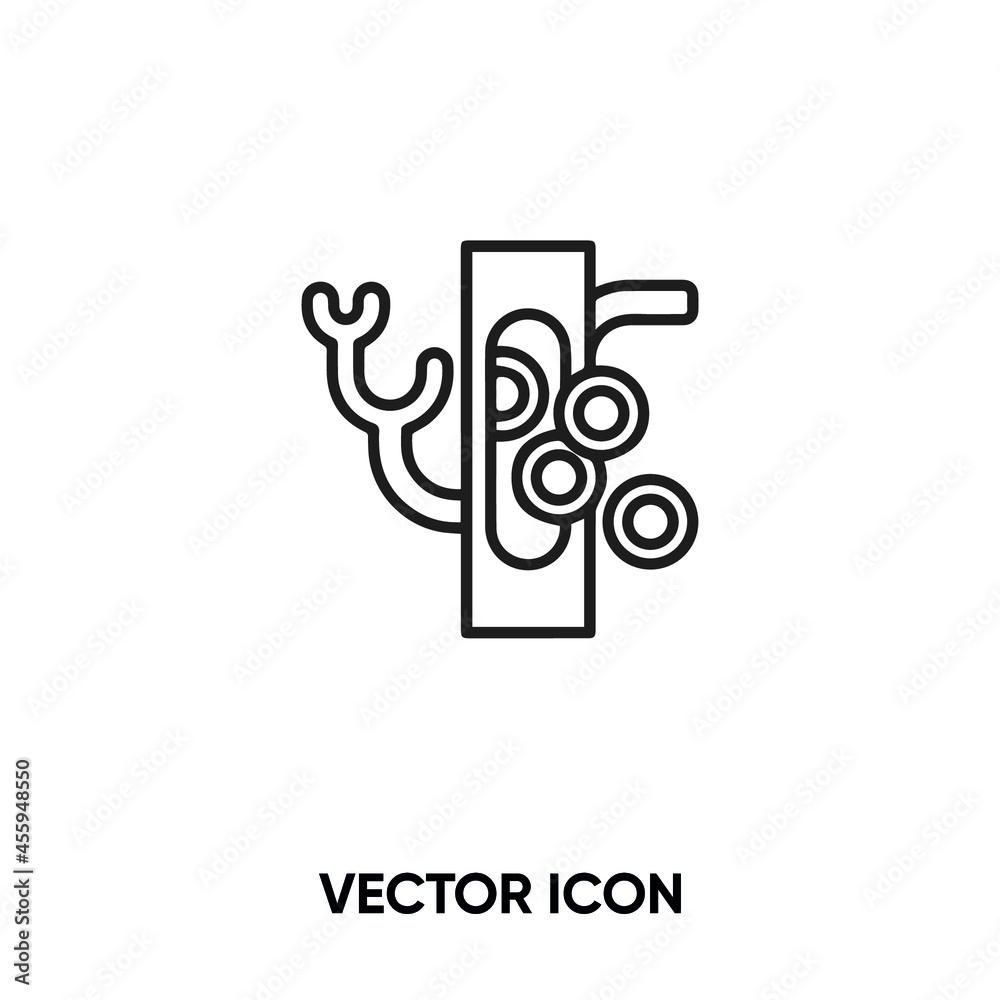 Red blood cell vector icon. Modern, simple flat vector illustration for ...