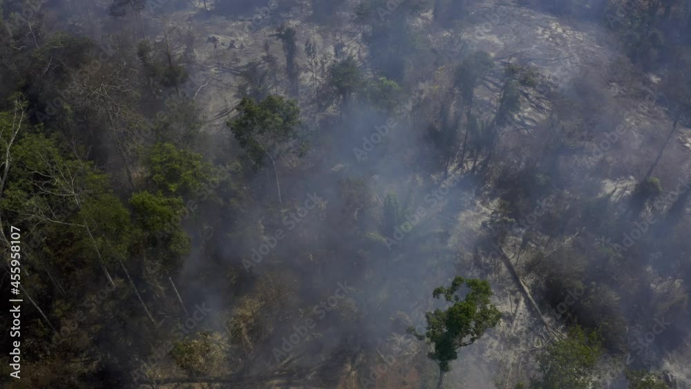 A devastating fire caused by drought and global warming destroys the ...