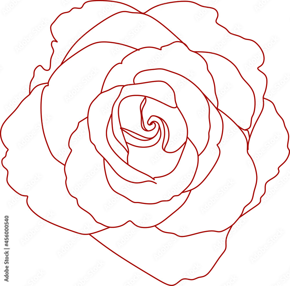 Rose line drawing. Rose line art Stock Vector | Adobe Stock