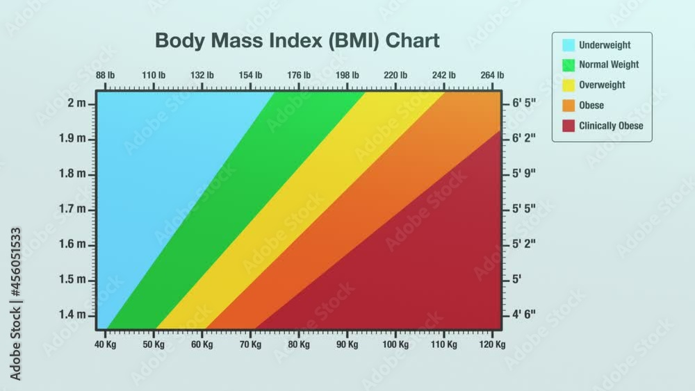 Body Mass Index Chart, infographic animation Stock Video | Adobe Stock