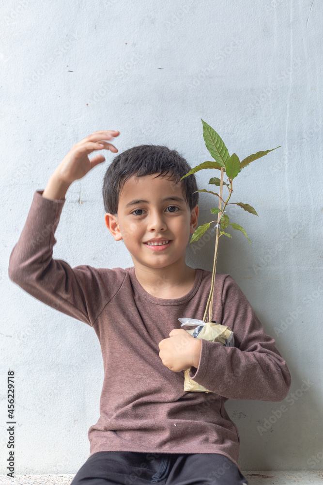 Kratom tree seedlings ready to be planted in the ground..A cute boy sat ...