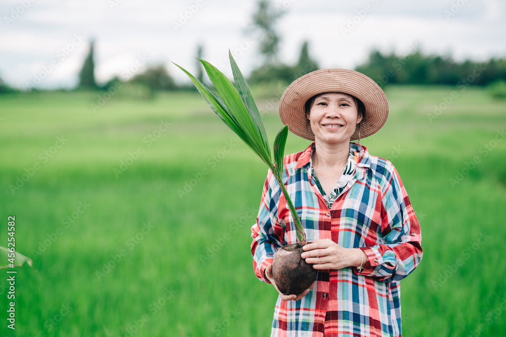 Women gardener holding seeding of coconut palm tree for planting in ...