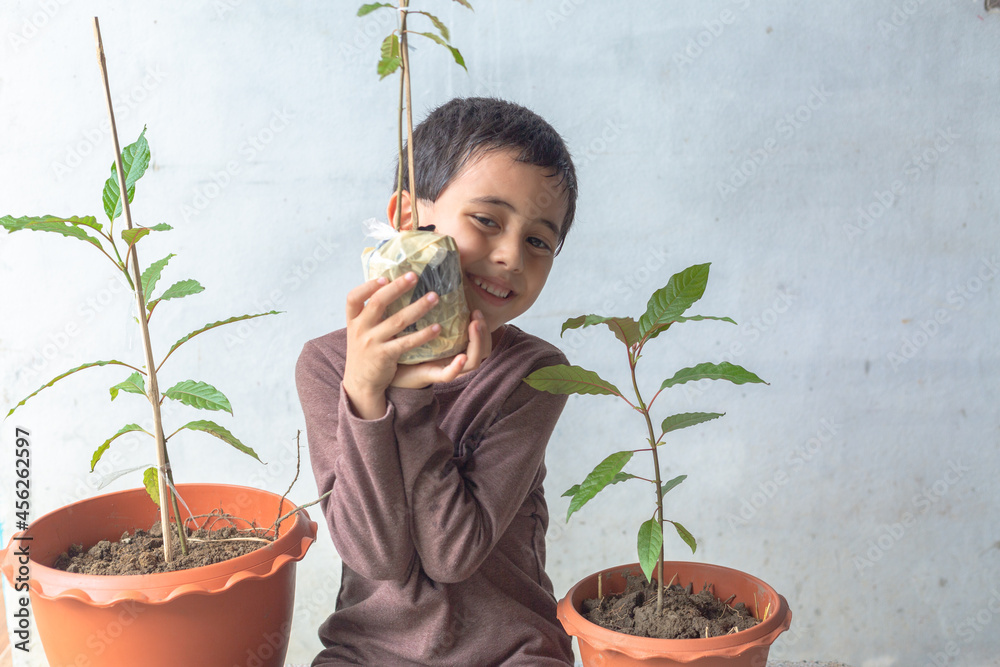 A happy boy enjoy with his Kratom tree seedlings. .A cute boy sat ...