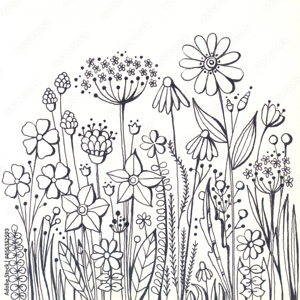 Coloring book with decorative wildflowers and herbs. Hand drawn sketch ...