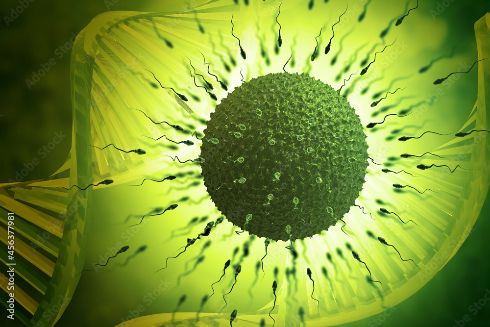 Sperm and egg cell on scientific background. Human reproduction Concept ...