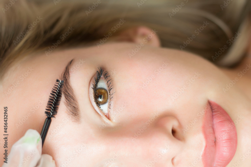 A young woman undergoes the procedure of eyebrow correction, henna ...