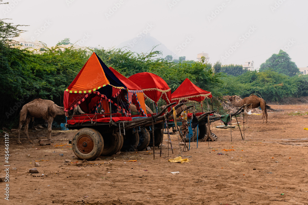 Traditional Rajasthani Camel Cars still use in various parts of deserts ...