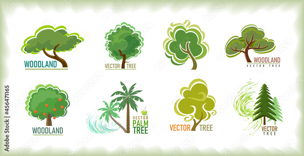 Different types of trees from tropical and European regions. Stock ...