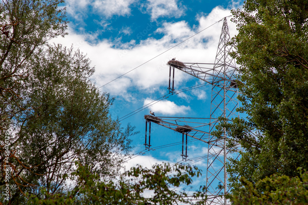 Foto de Bird nests with storks on power pole. high voltage power line ...