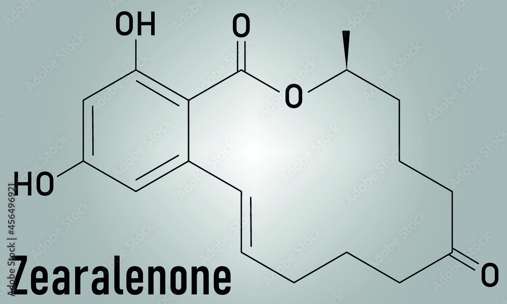 Zearalenone (ZEN) mycotoxin molecule skeletal formula. Produced by some ...