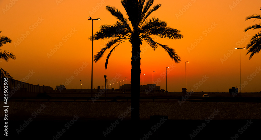 Palm Tree And Street Lights In Dark Sunset. Photo Taken From Bahrain ...