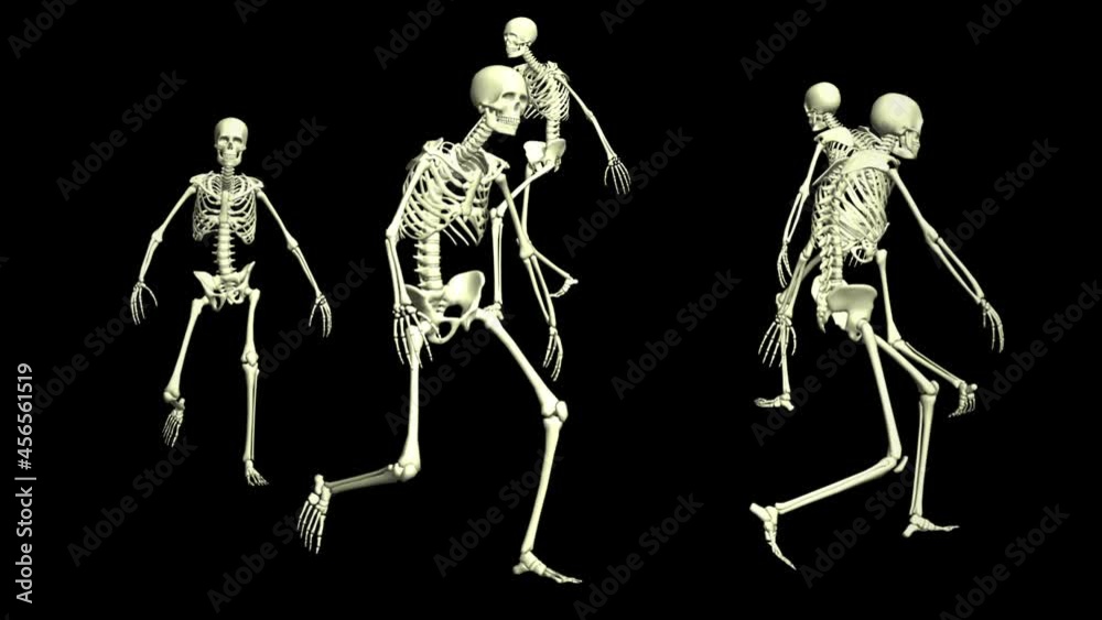 Skeleton marching in a circle. Animation footage. 3D animation of ...