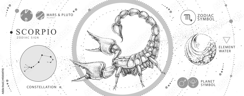 Modern magic witchcraft card with astrology Scorpio zodiac sign ...