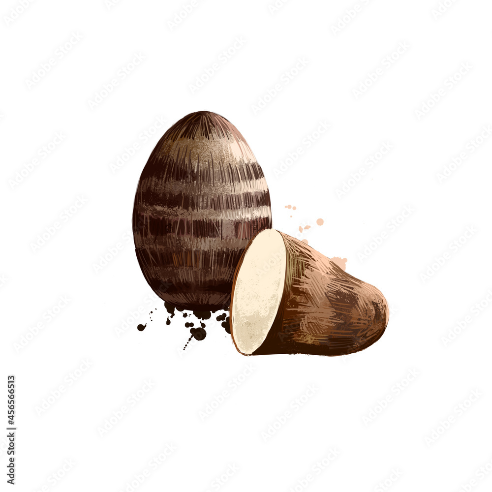 Colocasia esculenta tropical plant, root taro, kalo, dasheen, madhumbe ...