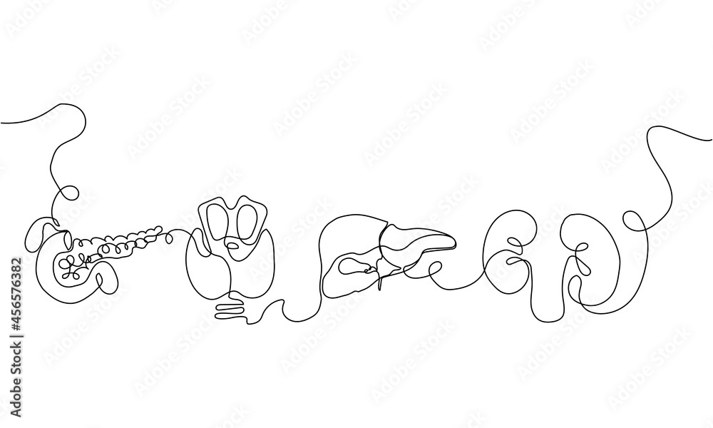 Human internal organs one line set art. Continuous line drawing of ...