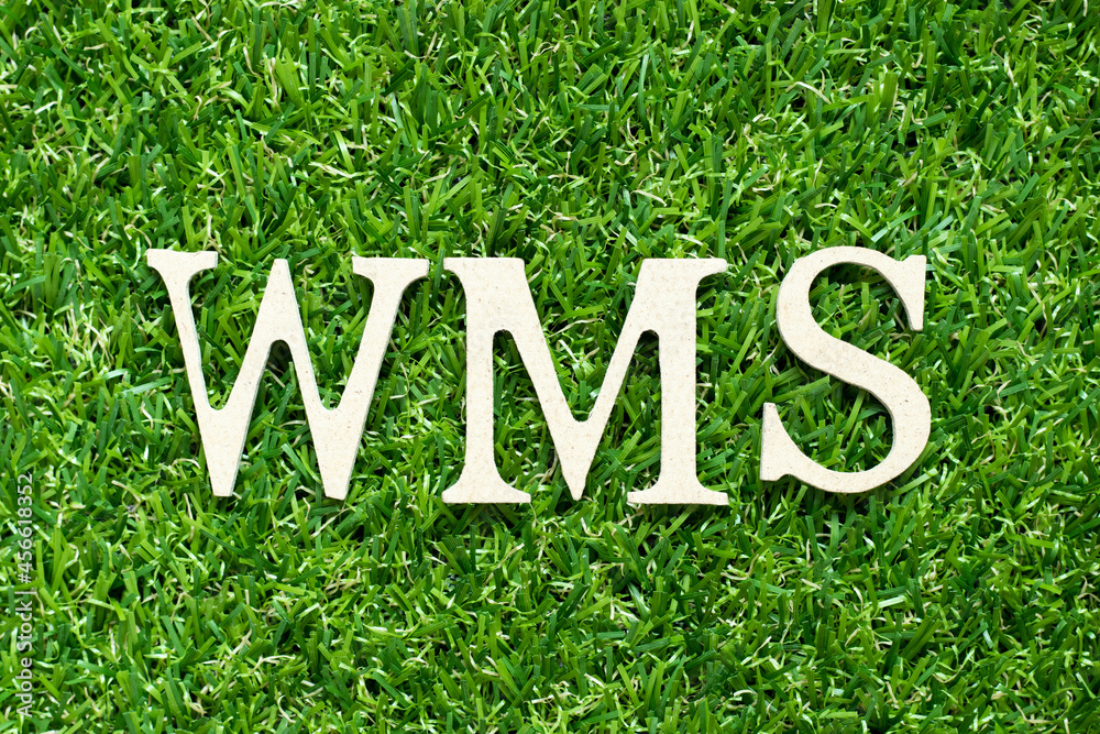 Alphabet letter in word WMS (Abbreviation of warehouse management ...