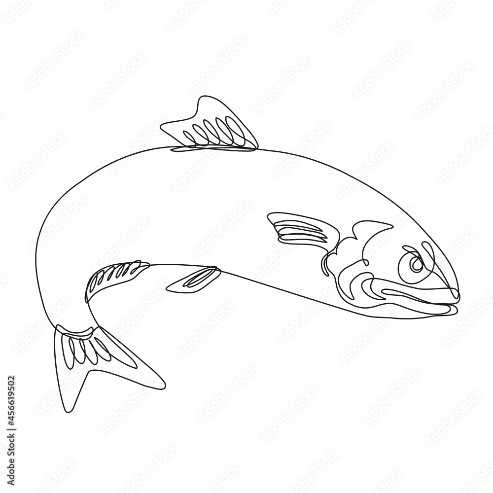 Sardine Drawing