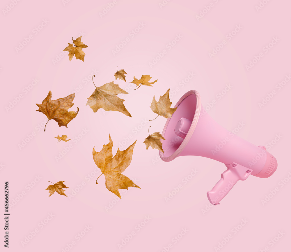 Pink megaphone with dry autumn leaves flying in the air on pastel pink ...