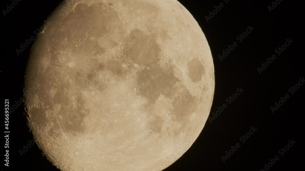 Incomplete Moon slow moves through the night sky. Small bird flies ...