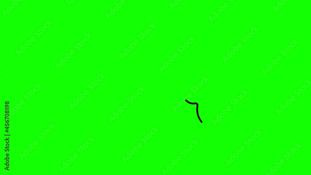 Mistletoe line icon animation on the green screen background. 4K video ...