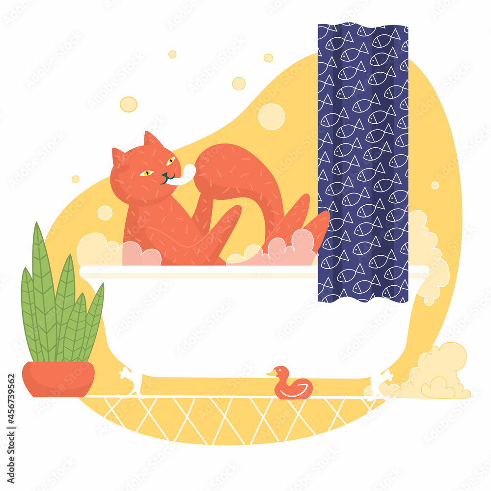 Funny Cat in the bath. Humorous animal. Washing in the foam. Isolated ...