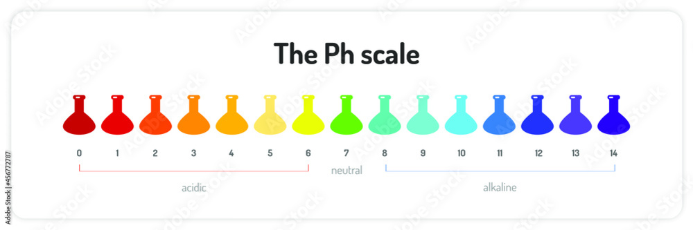 The ph scale infographic. Isolated vector illustration on white ...