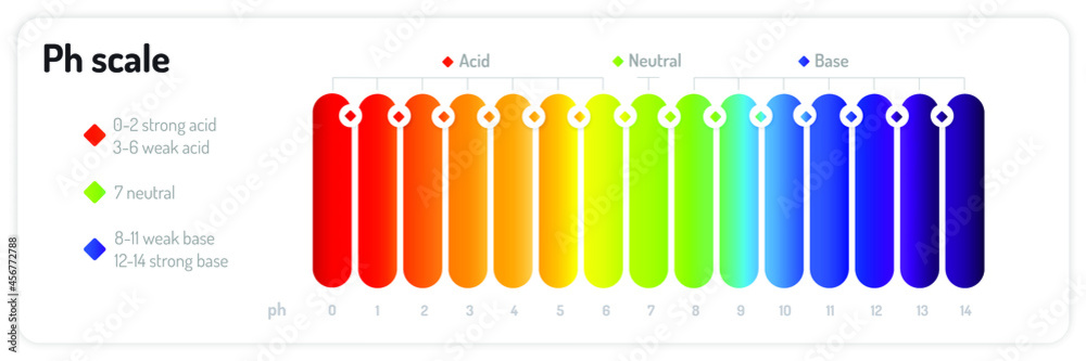 The ph scale infographic. Isolated vector illustration on white ...