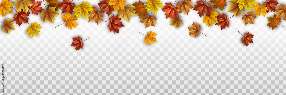 Autumn Leaves on Transparent Background. Seasonal Vector Border with ...