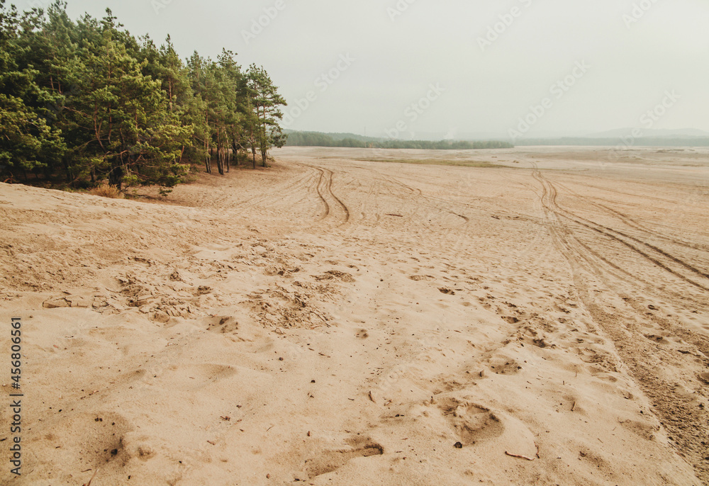 Bledow desert (pustynia bledowska) biggest sand desert in Silesia ...