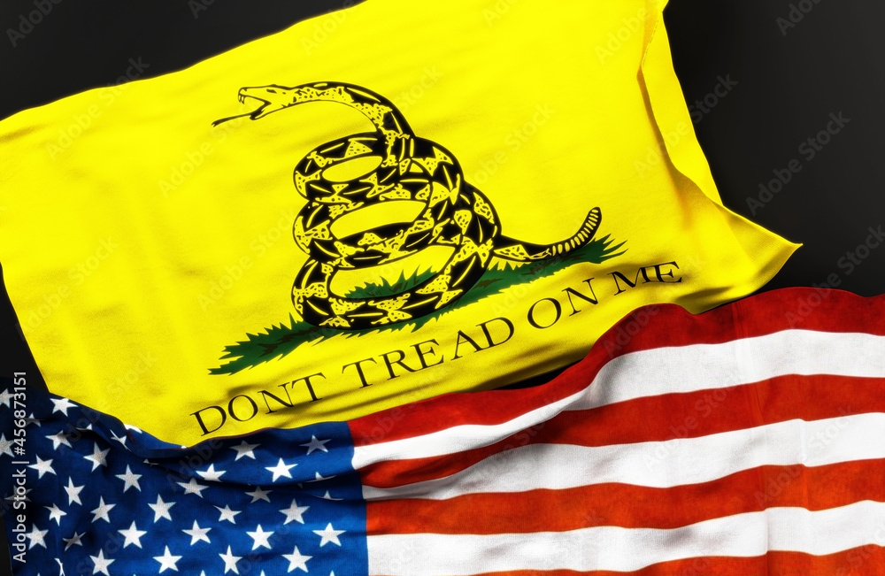 Flag of Gadsden along with a flag of the United States of America as a ...