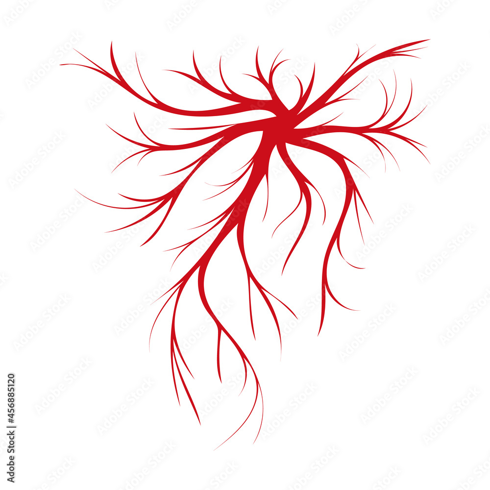Vein of human vector cartoon icon. Vector illustration artery of blood ...