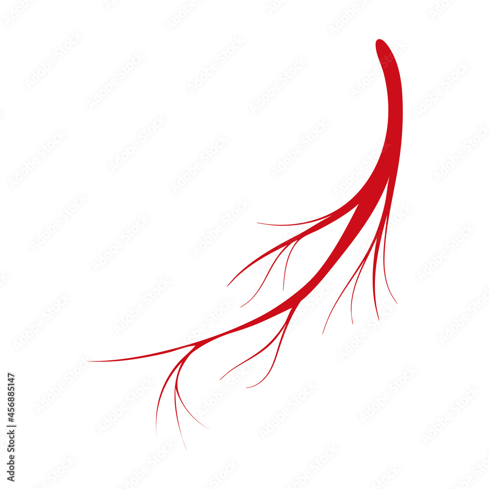 Vein of human vector cartoon icon. Vector illustration artery of blood ...