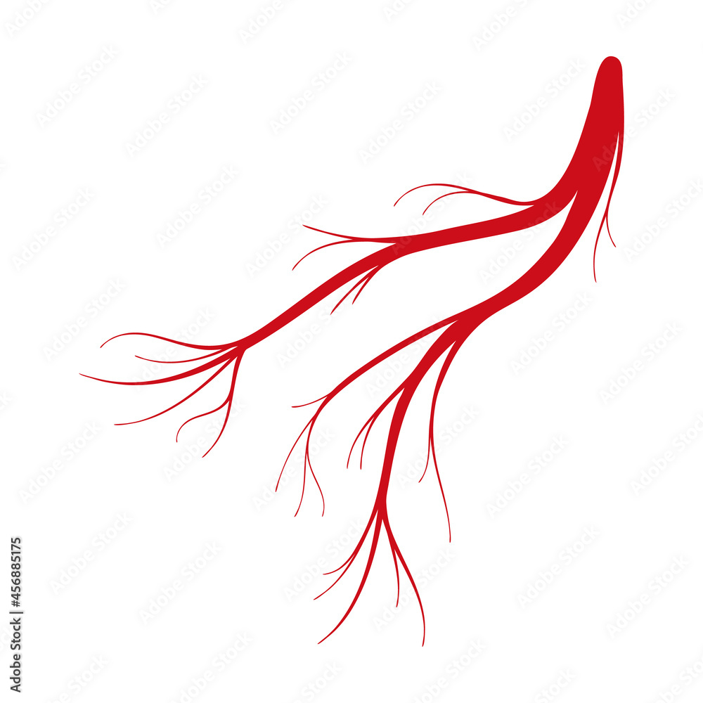 Vein of human vector cartoon icon. Vector illustration artery of blood ...