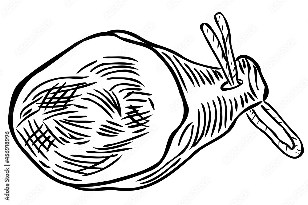 Drawing of a ham with a tourniquet drawn in black outline on a white ...